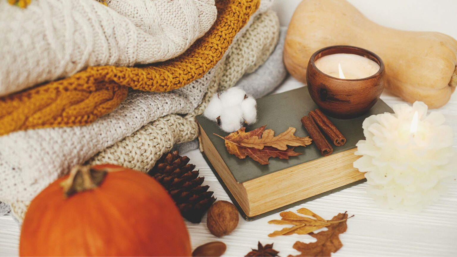Understanding Your Menstrual Cycle: Exploring the 4 Phases – Shen Medicine