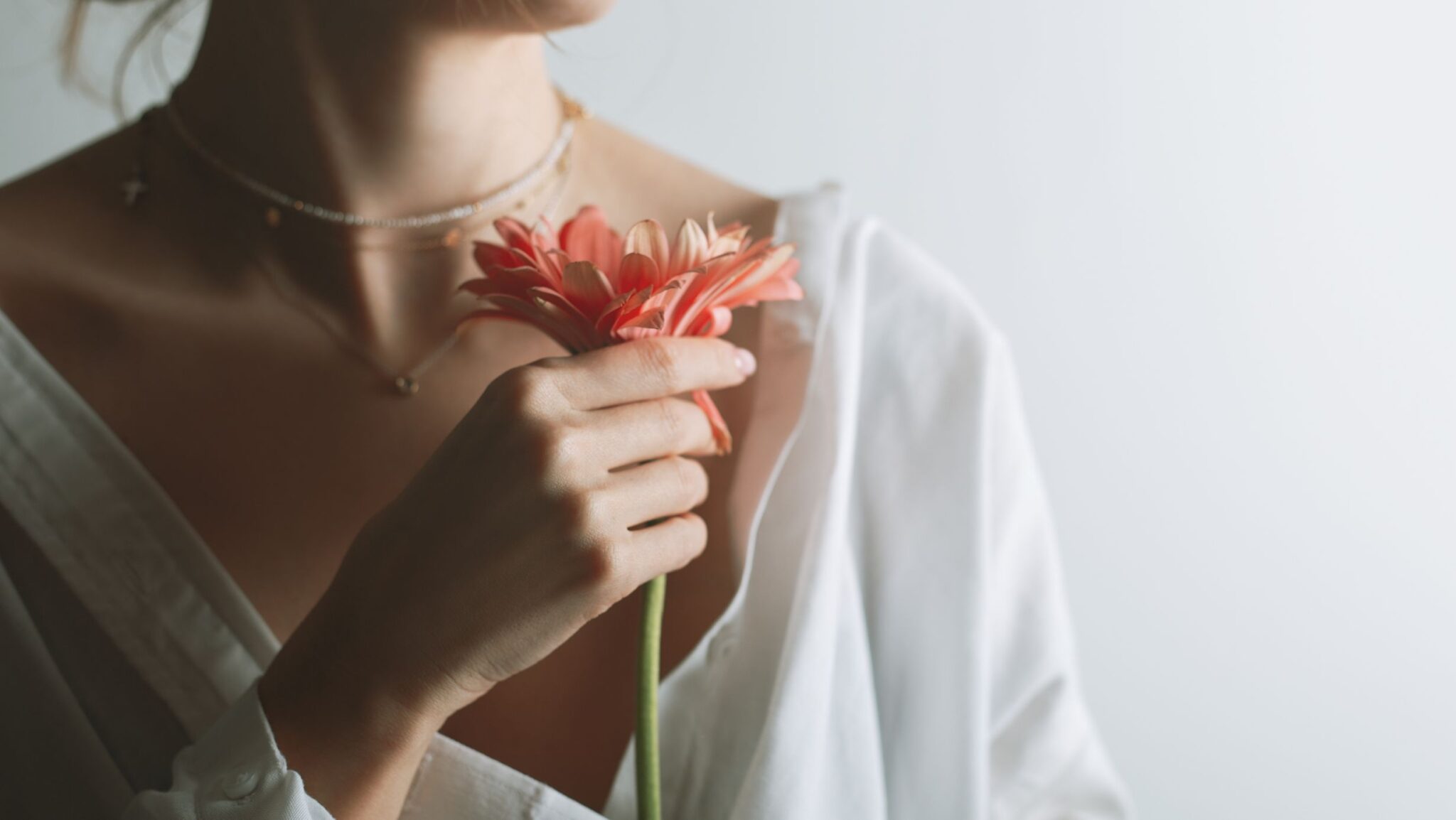A Guide to Female Hormones – Shen Medicine