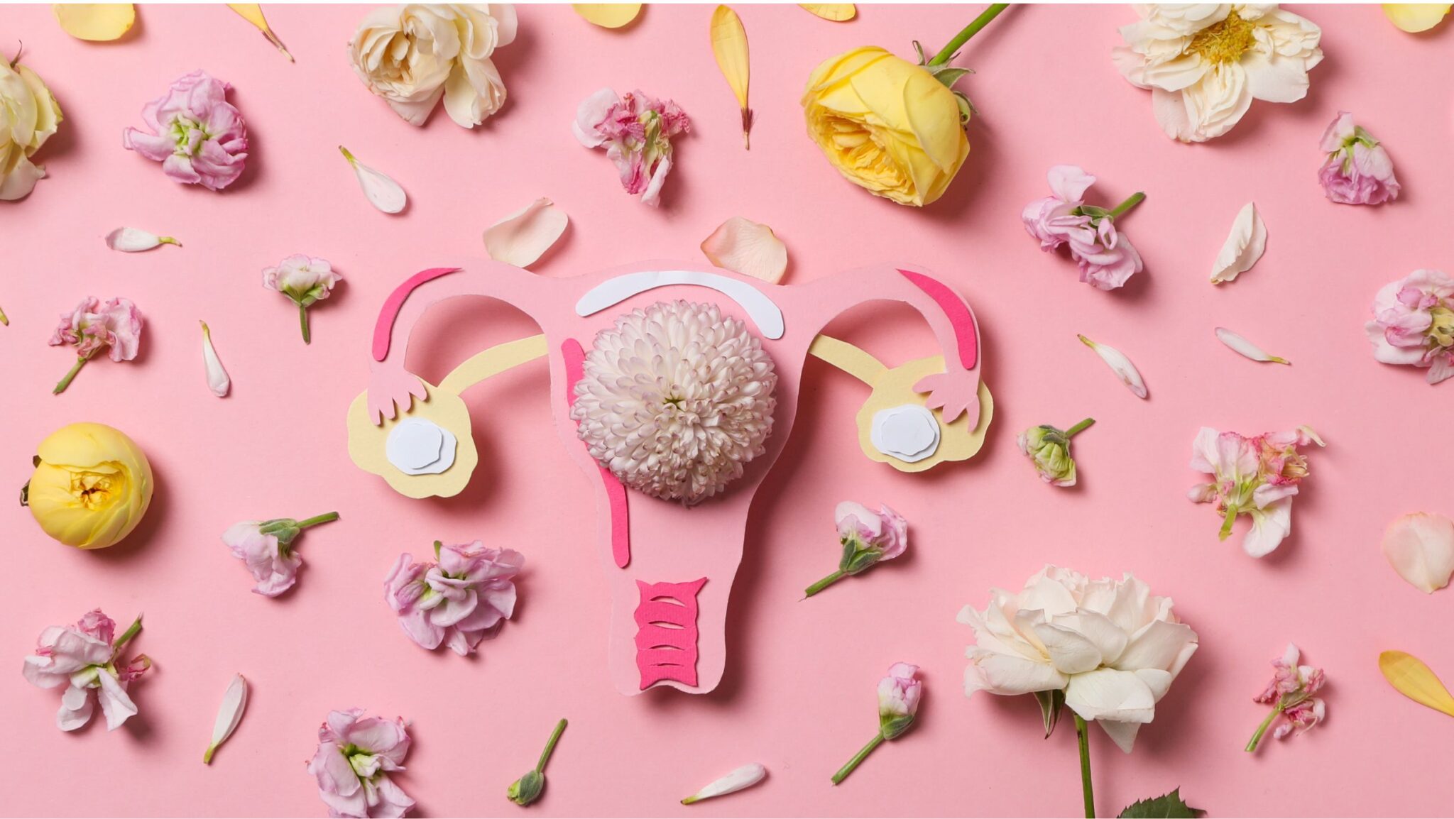 A Guide to Female Hormones – Shen Medicine