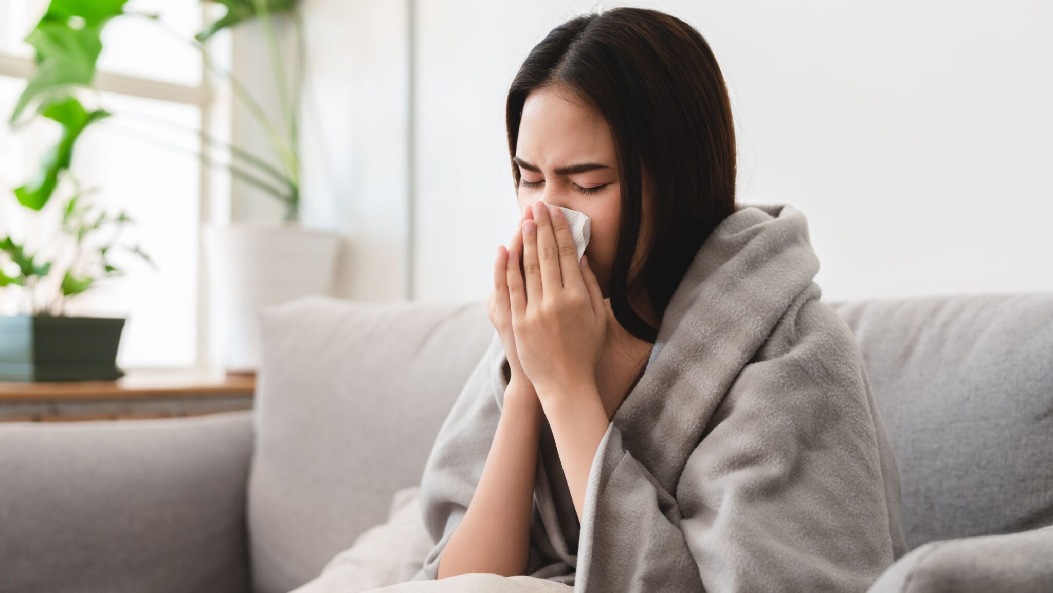 Colds: What’s Really Happening in Your Body? – Shen Medicine